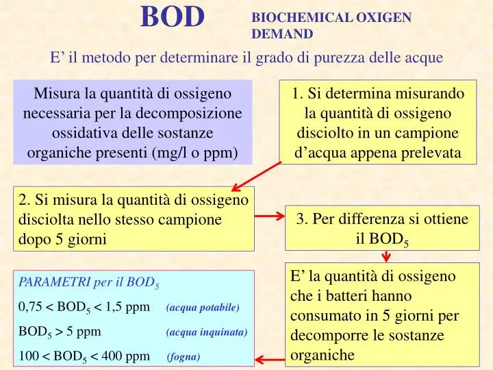 PPT - BOD PowerPoint Presentation, free download - ID:4910253