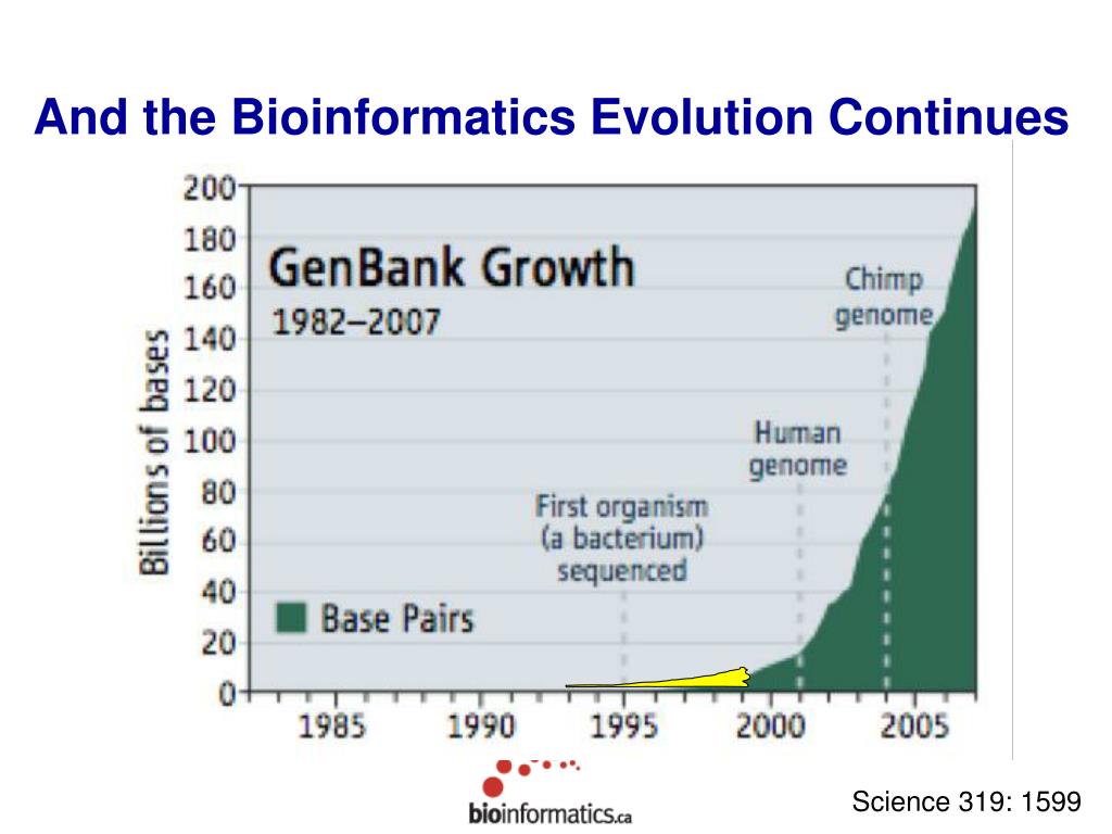 PPT - Evolution in Bioinformatics Training Programs PowerPoint ... PPT - Evolution in Bioinformatics Training Programs PowerPoint ...
