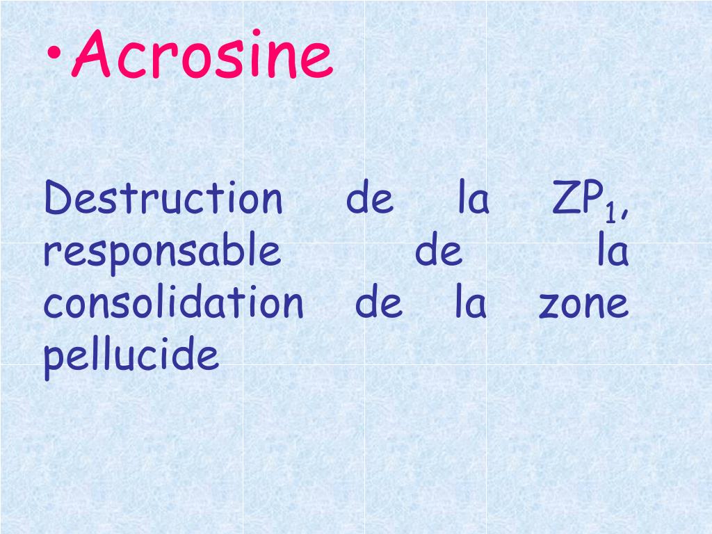 PPT - Première semaine du développement embryonnaire PowerPoint ...