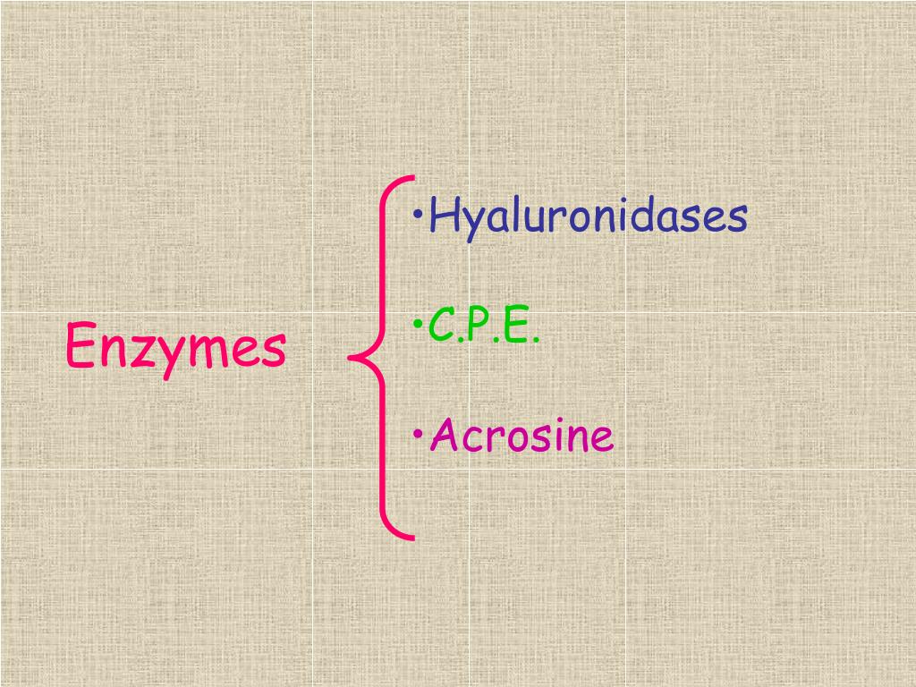 PPT - Première semaine du développement embryonnaire PowerPoint ...