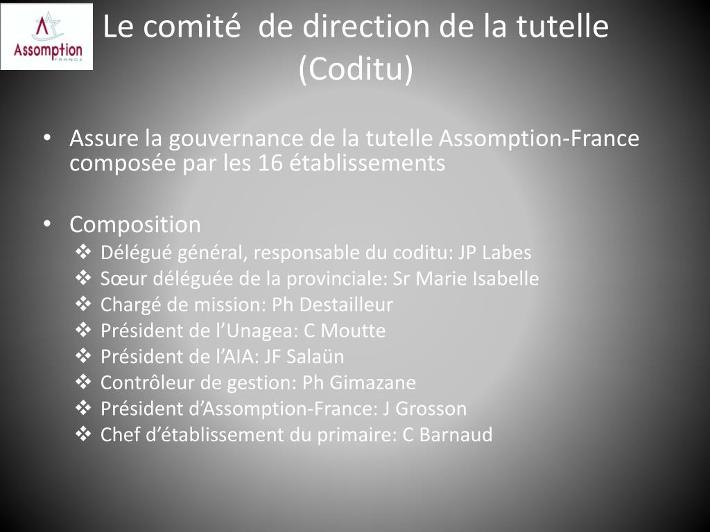 PPT - UNE NOUVELLE ORGANISATION DE LA TUTELLE ASSOMPTION FRANCE PowerPoint Presentation - ID:4912732