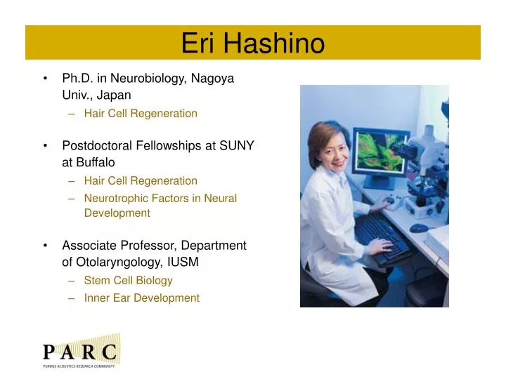 PPT - Eri Hashino PowerPoint Presentation, free download - ID:4913479