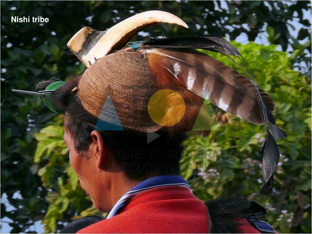 PPT - Naga Tribes in their traditional wear during Hornbill Festival ...