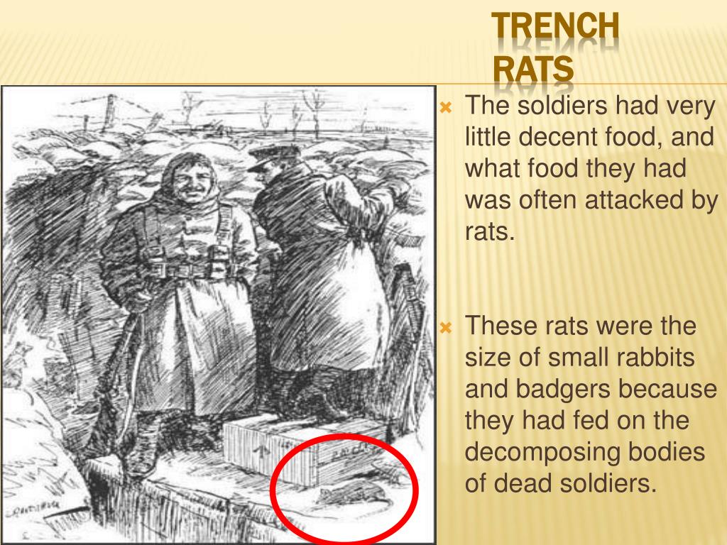 PPT - The Treaty of London 1839: Why Britain declared war on Germany ...