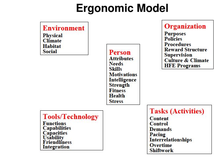 PPT - Ergonomics in the Workplace PowerPoint Presentation - ID:4914786