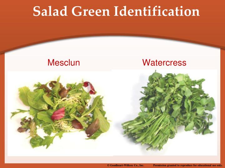 PPT - Salads and Dressings PowerPoint Presentation - ID:4915284
