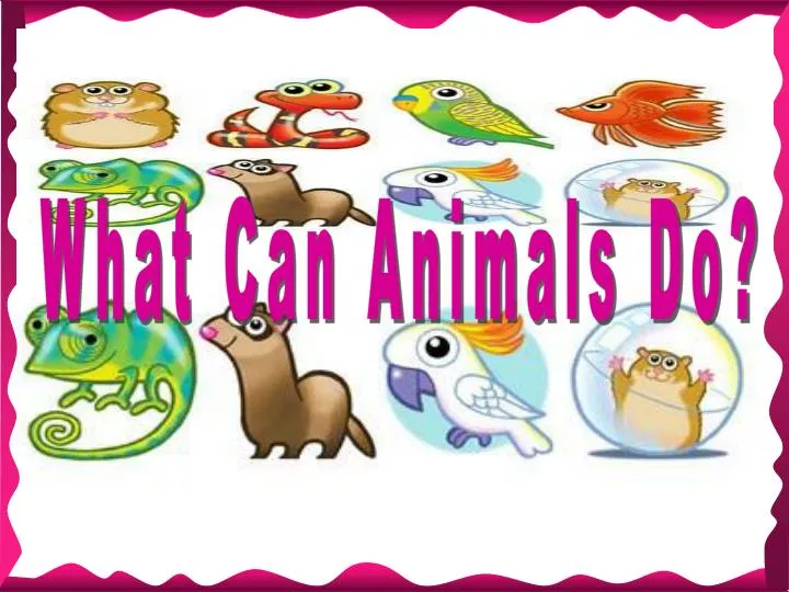 PPT - What Can Animals Do? PowerPoint Presentation, free download - ID ...