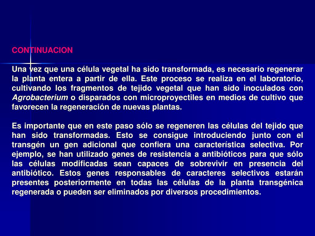 PPT - FACULTAD DE INGENIERIA FISIOLOGIA VEGETAL LOS TRASGENICOS ...