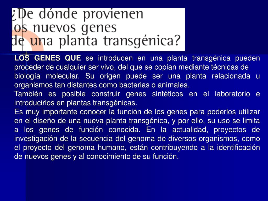 PPT - FACULTAD DE INGENIERIA FISIOLOGIA VEGETAL LOS TRASGENICOS ...