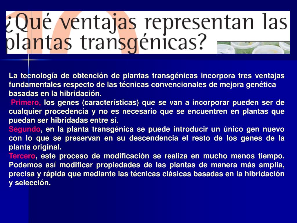 PPT - FACULTAD DE INGENIERIA FISIOLOGIA VEGETAL LOS TRASGENICOS ...
