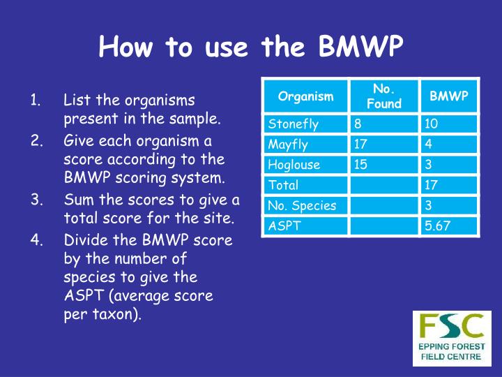 PPT - BTEC PowerPoint Presentation - ID:4919051