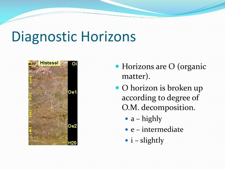 PPT - Histosols PowerPoint Presentation - ID:4919201