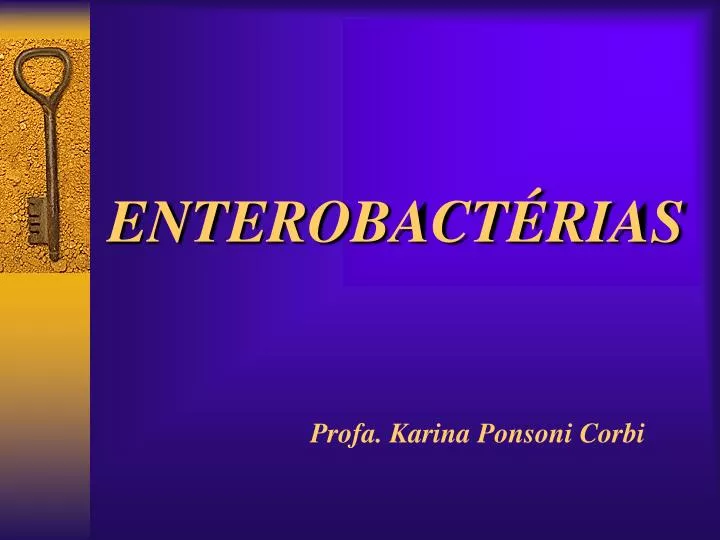 PPT - ENTEROBACTÉRIAS PowerPoint Presentation, free download - ID:4919586