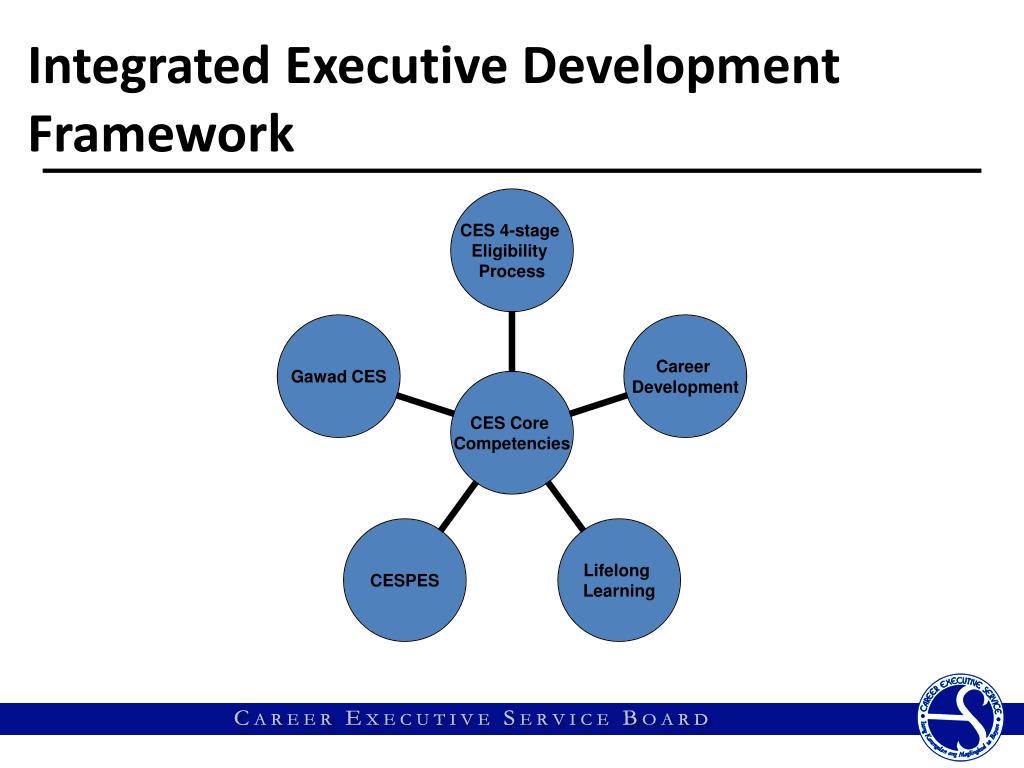 PPT - The CES S.O.A.R.s! Assessing the Professionalization of the ...