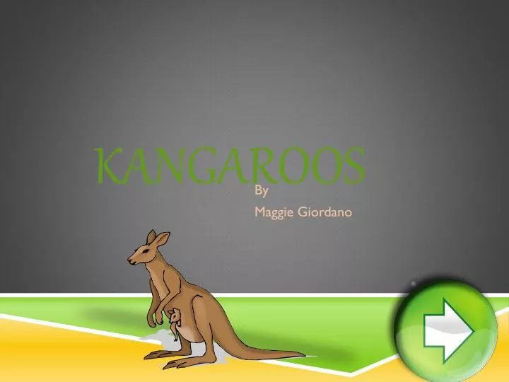 PPT - Kangaroos PowerPoint Presentation, free download - ID:4920181