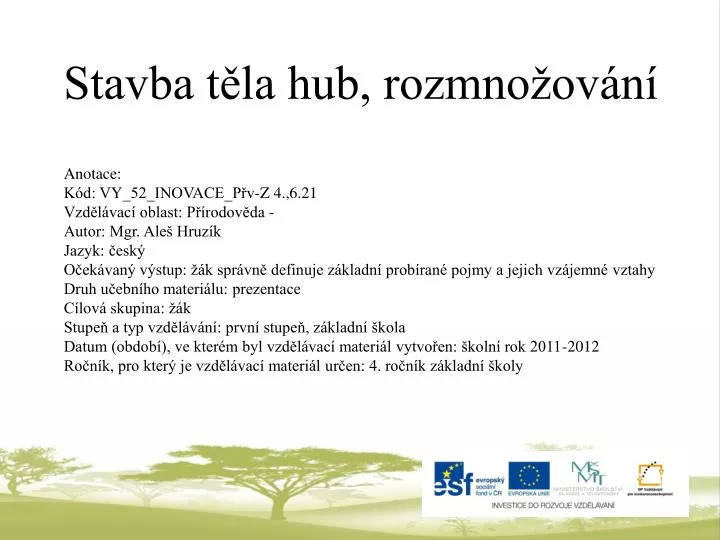 PPT - Stavba těla hub, rozmnožování PowerPoint Presentation, free ...