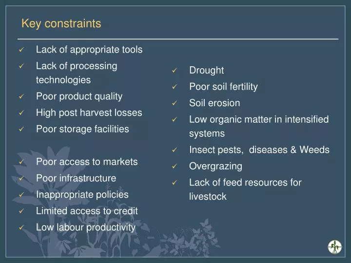 PPT - Key constraints PowerPoint Presentation, free download - ID:4921621