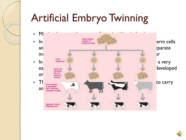 PPT - Human Cloning PowerPoint Presentation - ID:4921773