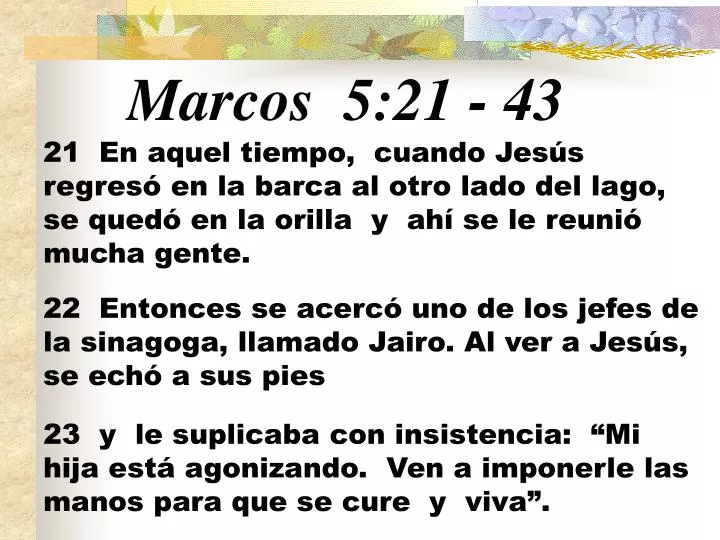 PPT - Marcos 5:21 - 43 PowerPoint Presentation, free download - ID:4923115