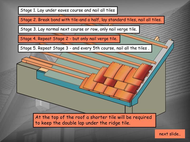 PPT - Plain tiles are laid double lap. In other words there are always ...