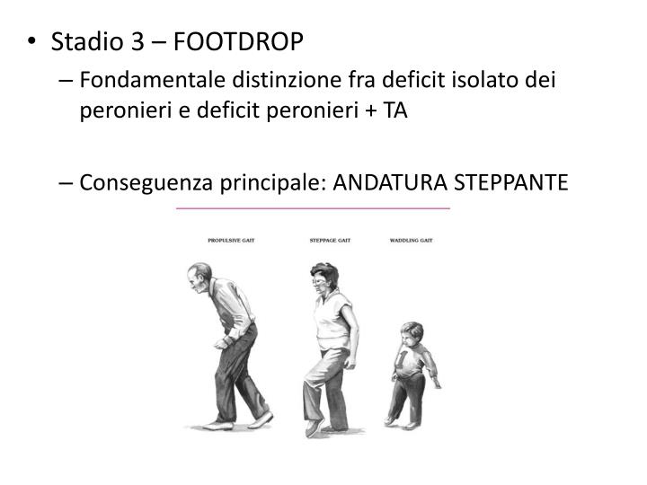 PPT - IL PILASTRO FRAGILE NEUROMOTOLESIONI: DAL DEFICIT ALLA STRATEGIA ...