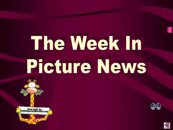PPT - The Week In Picture News PowerPoint Presentation, free download ...