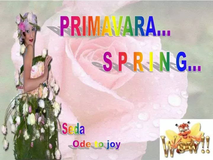 PPT - PRIMAVARA... PowerPoint Presentation, free download - ID:4929921