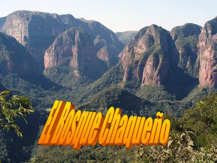 PPT - EL Bosque Chaqueño PowerPoint Presentation, free download - ID ...