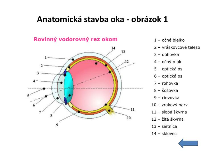 PPT - Gabriel Horos , zo zdrojov: PowerPoint Presentation - ID:4930921