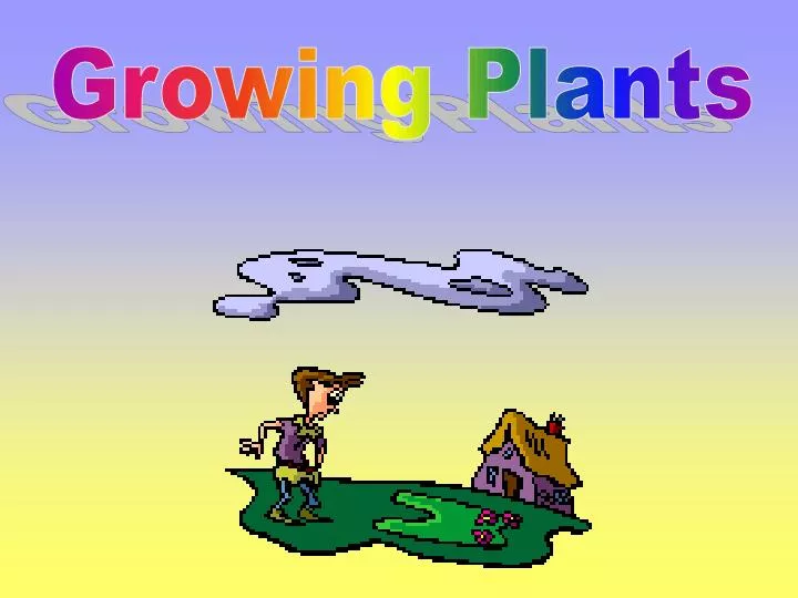 PPT - Growing Plants PowerPoint Presentation, free download - ID:4930947