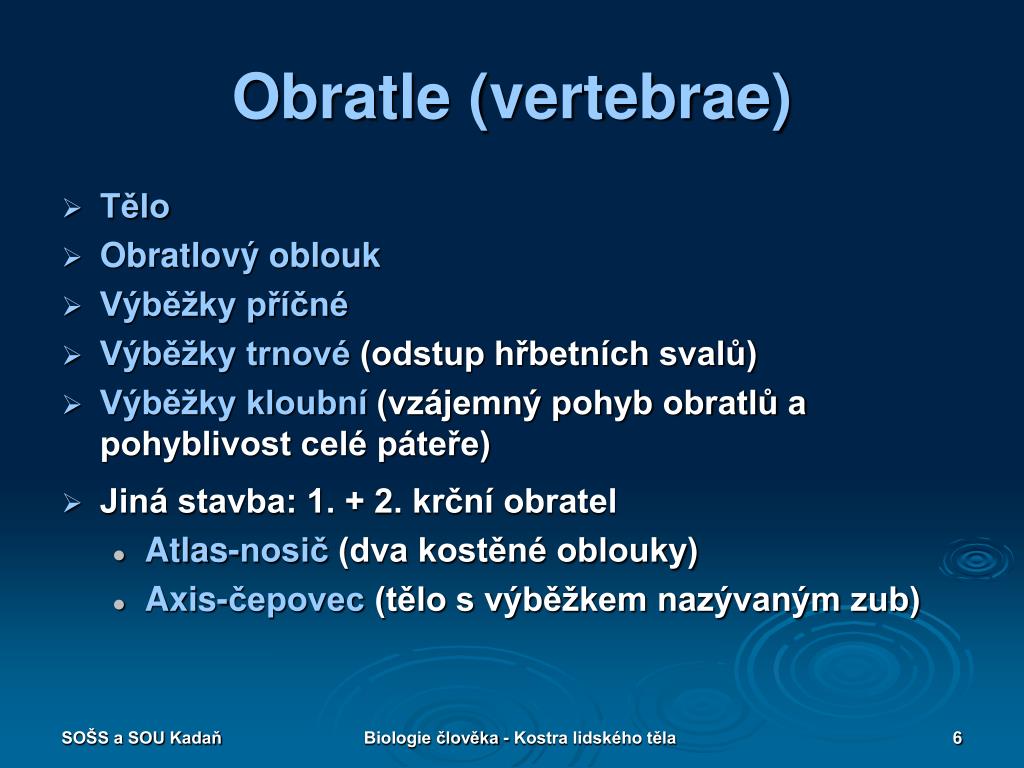 PPT - BIOLOGIE ČLOVĚKA KOSTRA LIDSKÉHO TĚLA PowerPoint Presentation ...