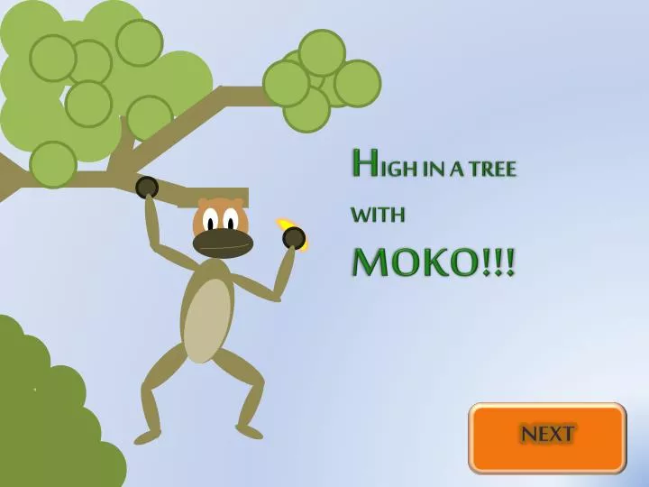 PPT - H IGH IN A TREE WITH MOKO!!! PowerPoint Presentation, free ...