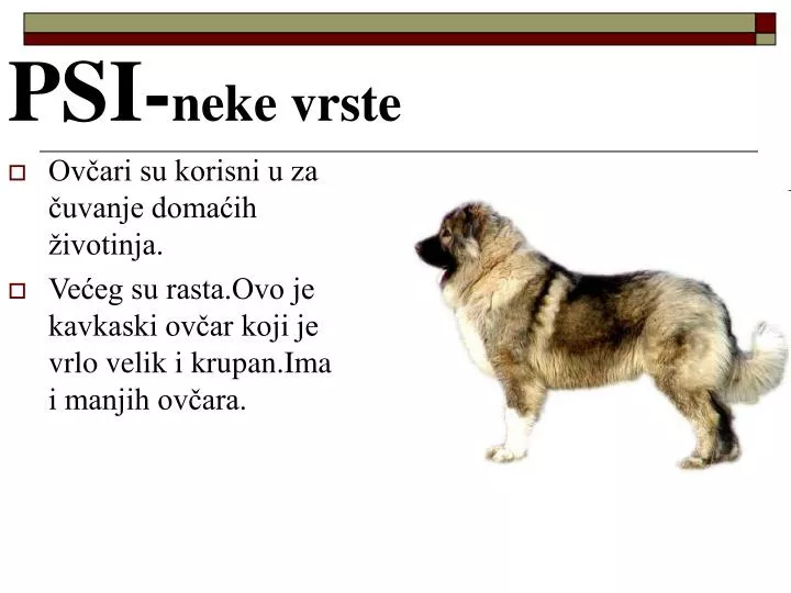 PPT - PSI- neke vrste PowerPoint Presentation, free download - ID:4933982