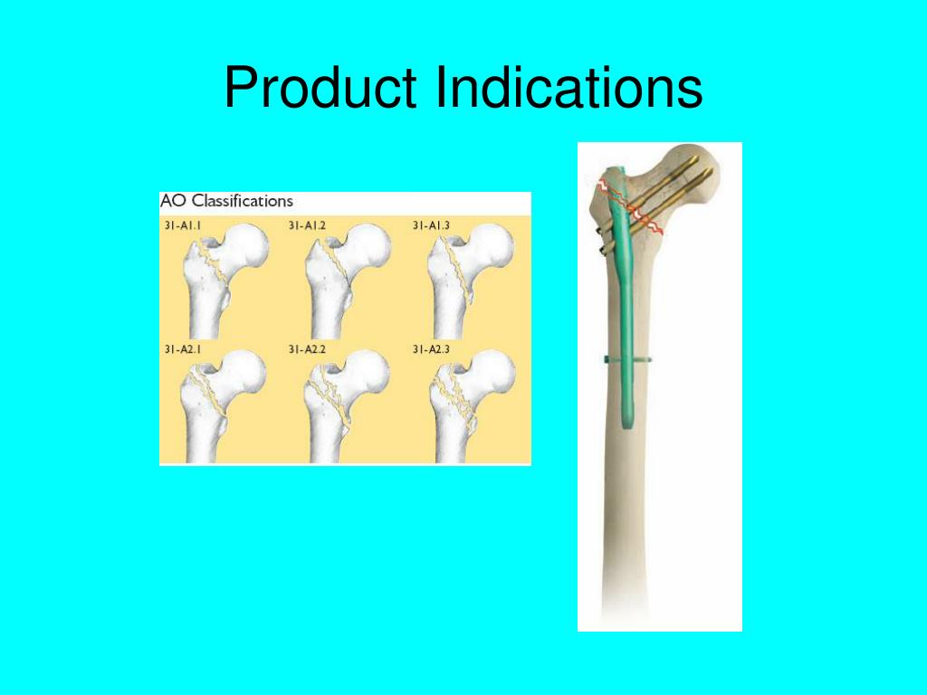 PPT - South Africa, 9 th -24th th May, 2009. PowerPoint Presentation ...