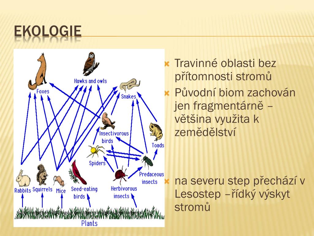 PPT - Projekt „Environmentální výchova ve školních úlohách ...