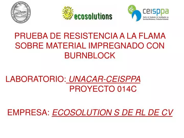 PPT - PRUEBA DE RESISTENCIA A LA FLAMA SOBRE MATERIAL IMPREGNADO CON ...