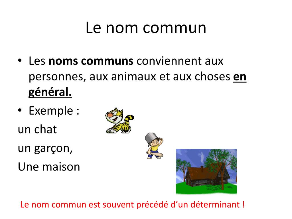 PPT Le Nom PowerPoint Presentation Free Download ID 4934888