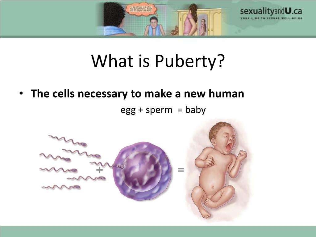 PPT - Here we will talk about: What is puberty? When changes happen to ...