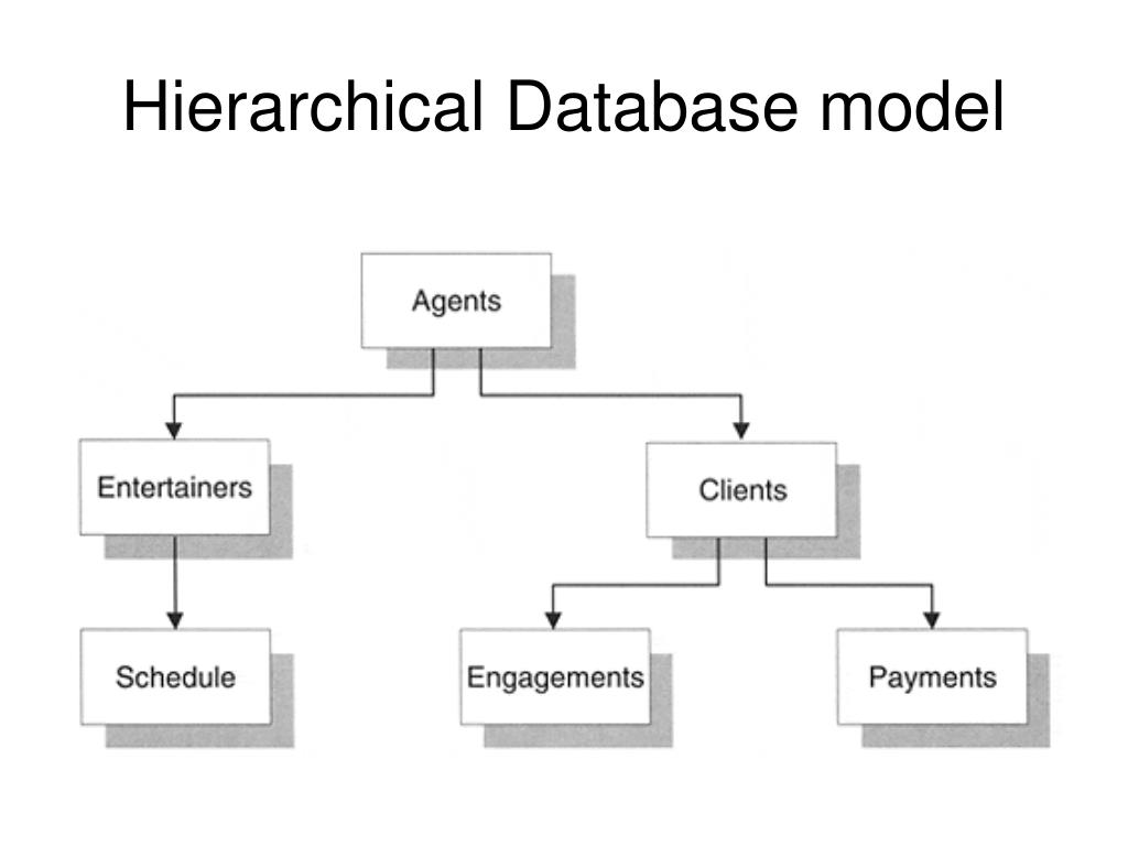 Hierarchical Database Model Diagram
