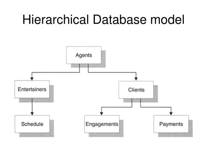 PPT - Hierarchical Database model PowerPoint Presentation, free ... PPT - Hierarchical Database model PowerPoint Presentation, free ...