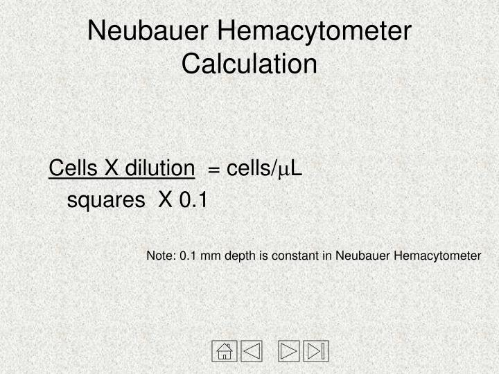 PPT - Hemacytometer and Manual Cell Counts PowerPoint Presentation - ID ...