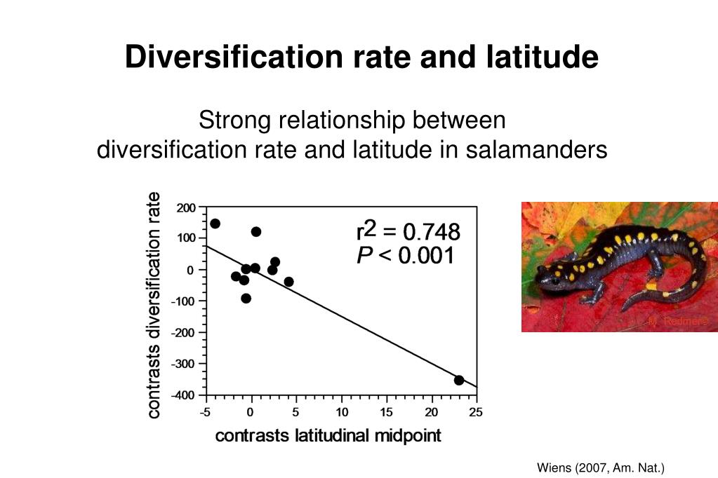 PPT - The origins of Neotropical amphibian biodiversity PowerPoint ...