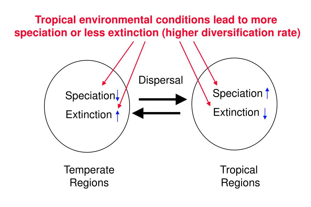 PPT - The origins of Neotropical amphibian biodiversity PowerPoint ...
