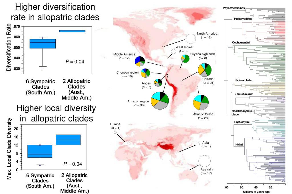 PPT - The origins of Neotropical amphibian biodiversity PowerPoint ...