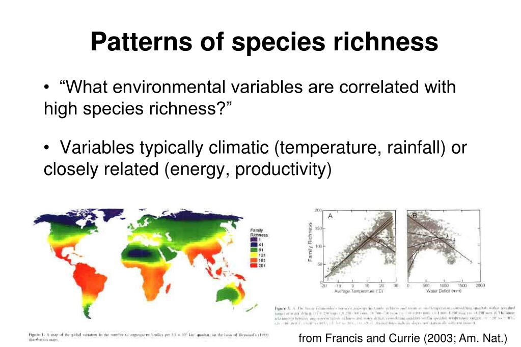 PPT - The origins of Neotropical amphibian biodiversity PowerPoint ...