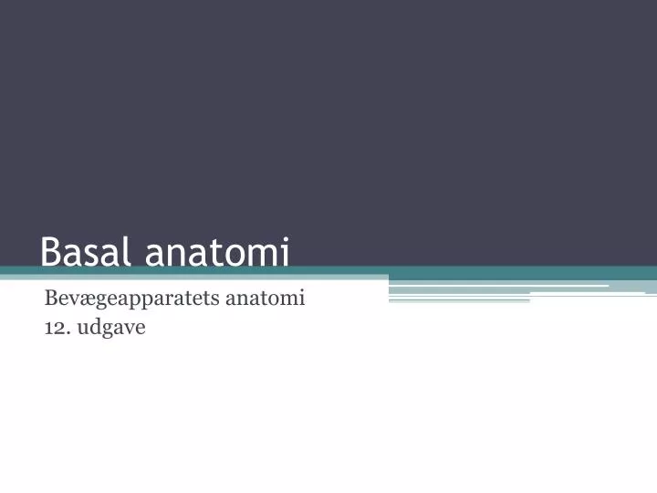 PPT - Basal anatomi PowerPoint Presentation, free download - ID:4936613