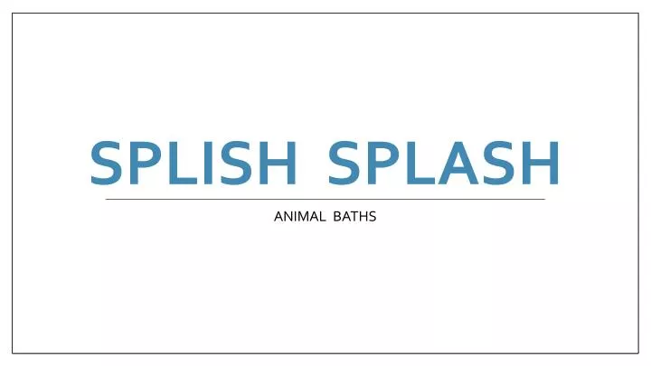 PPT - SPLISH SPLASH PowerPoint Presentation, free download - ID:4936783