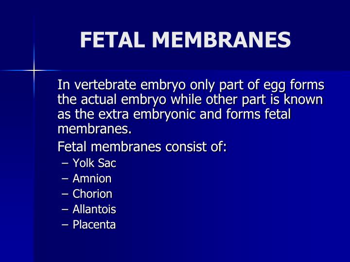 PPT - FETAL MEMBRANES & PLACENTA PowerPoint Presentation - ID:4938339