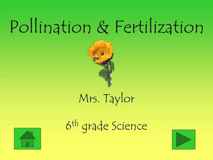 PPT - Pollination & Fertilization PowerPoint Presentation, free ...