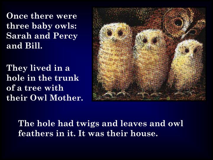 PPT - Once there were three baby owls: Sarah and Percy and Bill ...